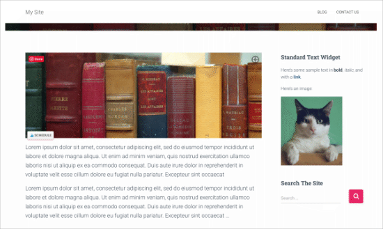 Cómo usar el editor visual para crear widgets en WordPress - MundoCMS