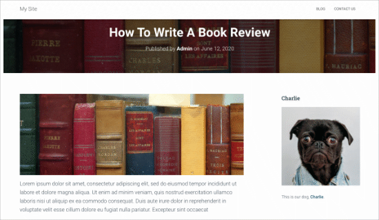 Cómo usar el editor visual para crear widgets en WordPress - MundoCMS